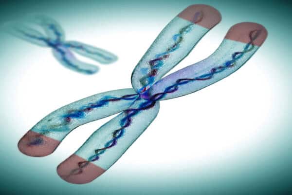 Demographic, lifestyle and self-reported health data - UK Biobank